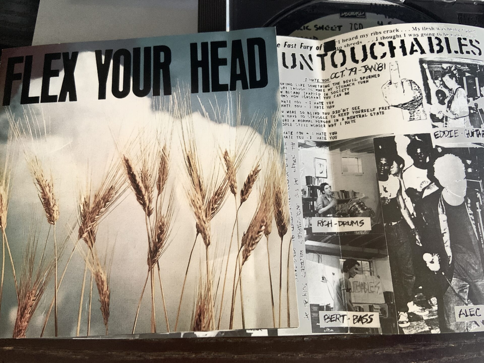 本日の1枚：V.A. / FLEX YOUR HEAD | Tungled Up In Music